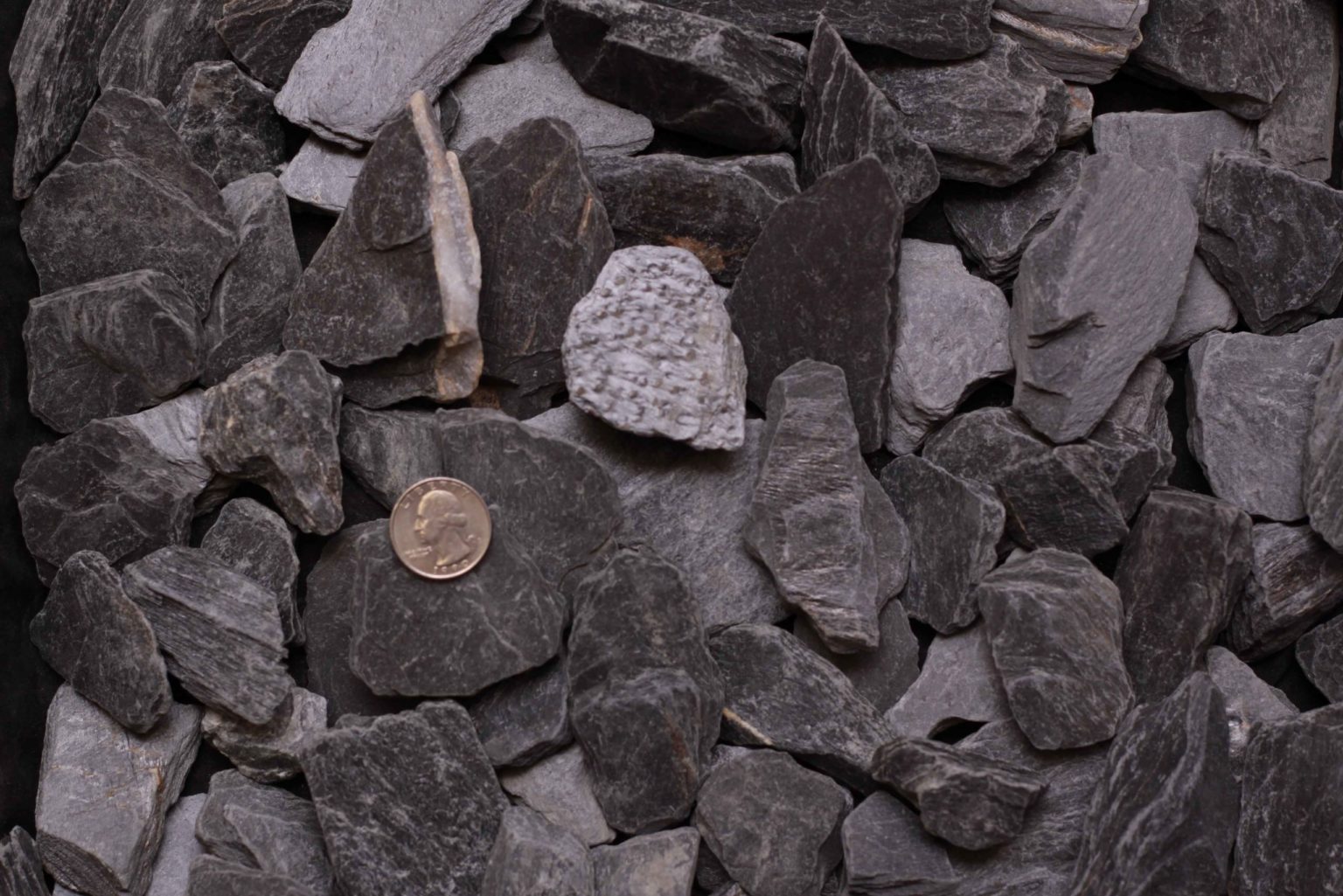 Decorative Stone - Stonehaven